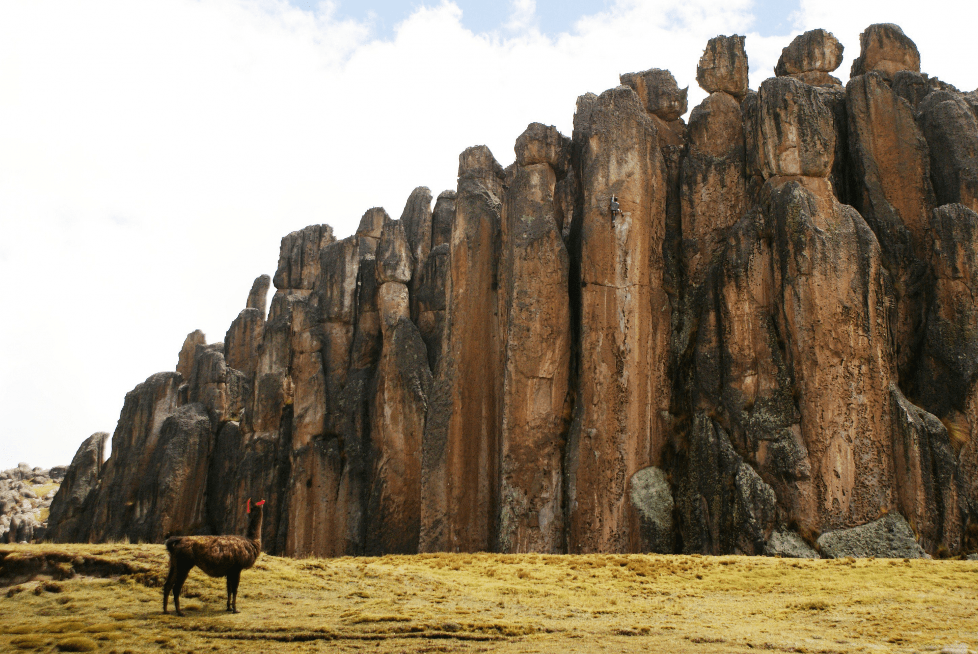 Blog - Bosque de Piedras de Huayllay, la gran maravilla del Perú ...