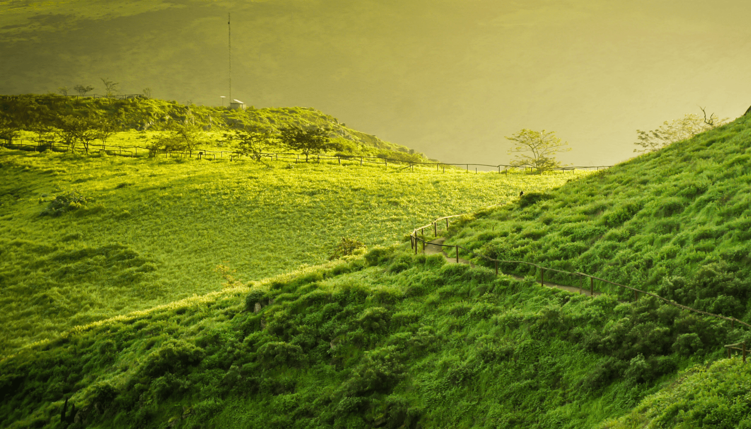 Blog - Conocer el Perú - Ciudad de Huacho (Lima) | eMarket Perú