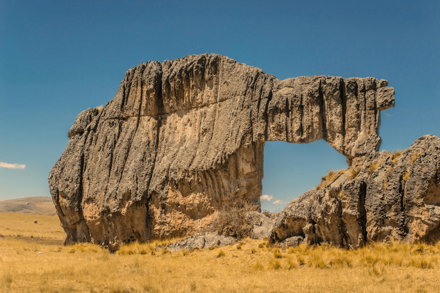Blog - Bosque de Piedras de Huayllay, la gran maravilla del Perú ...