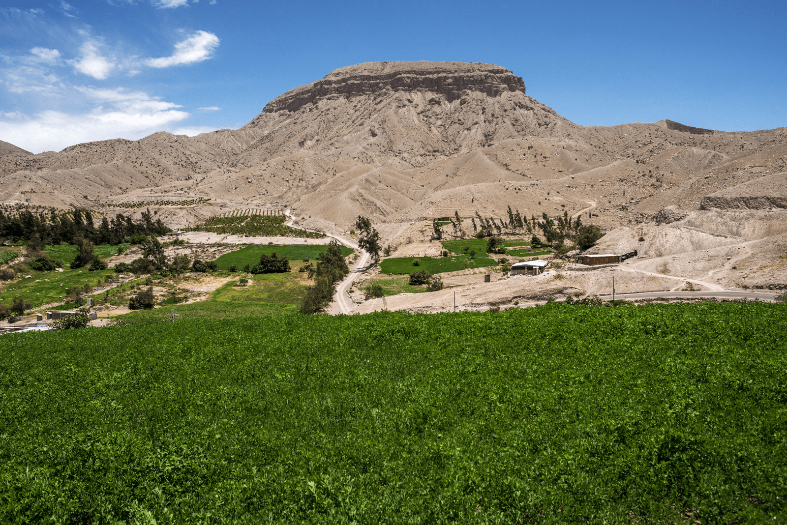 Blog - Conocer el Perú - Ciudad de Moquegua (Moquegua) | eMarket Perú