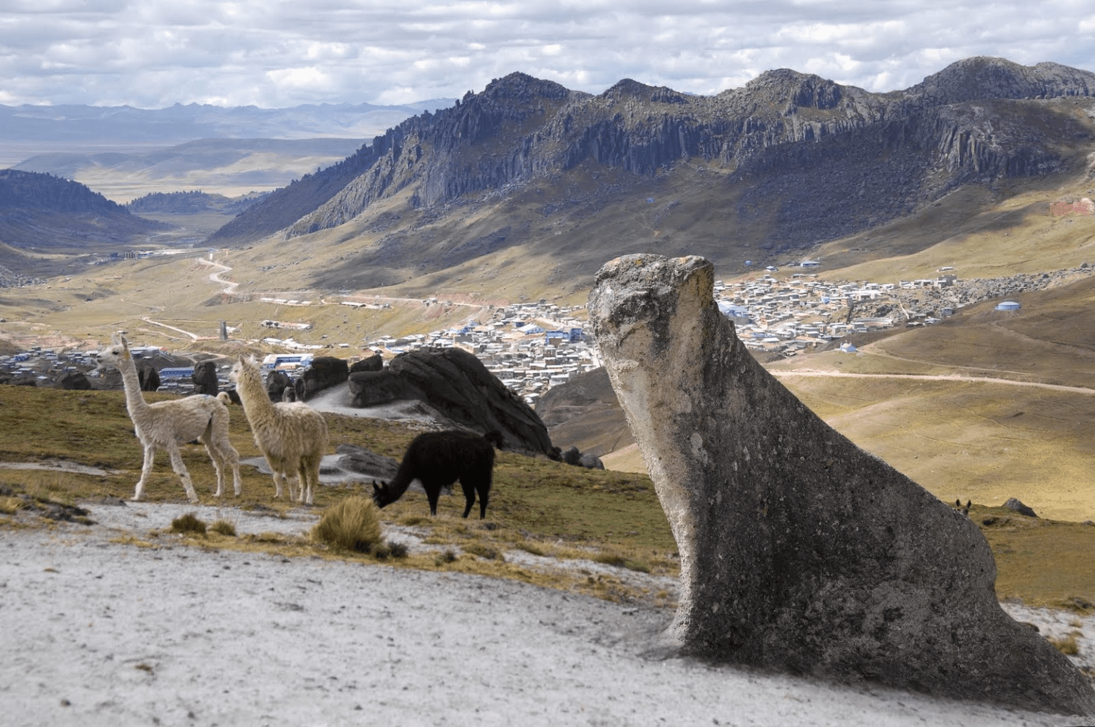 Blog - Bosque de Piedras de Huayllay, la gran maravilla del Perú ...
