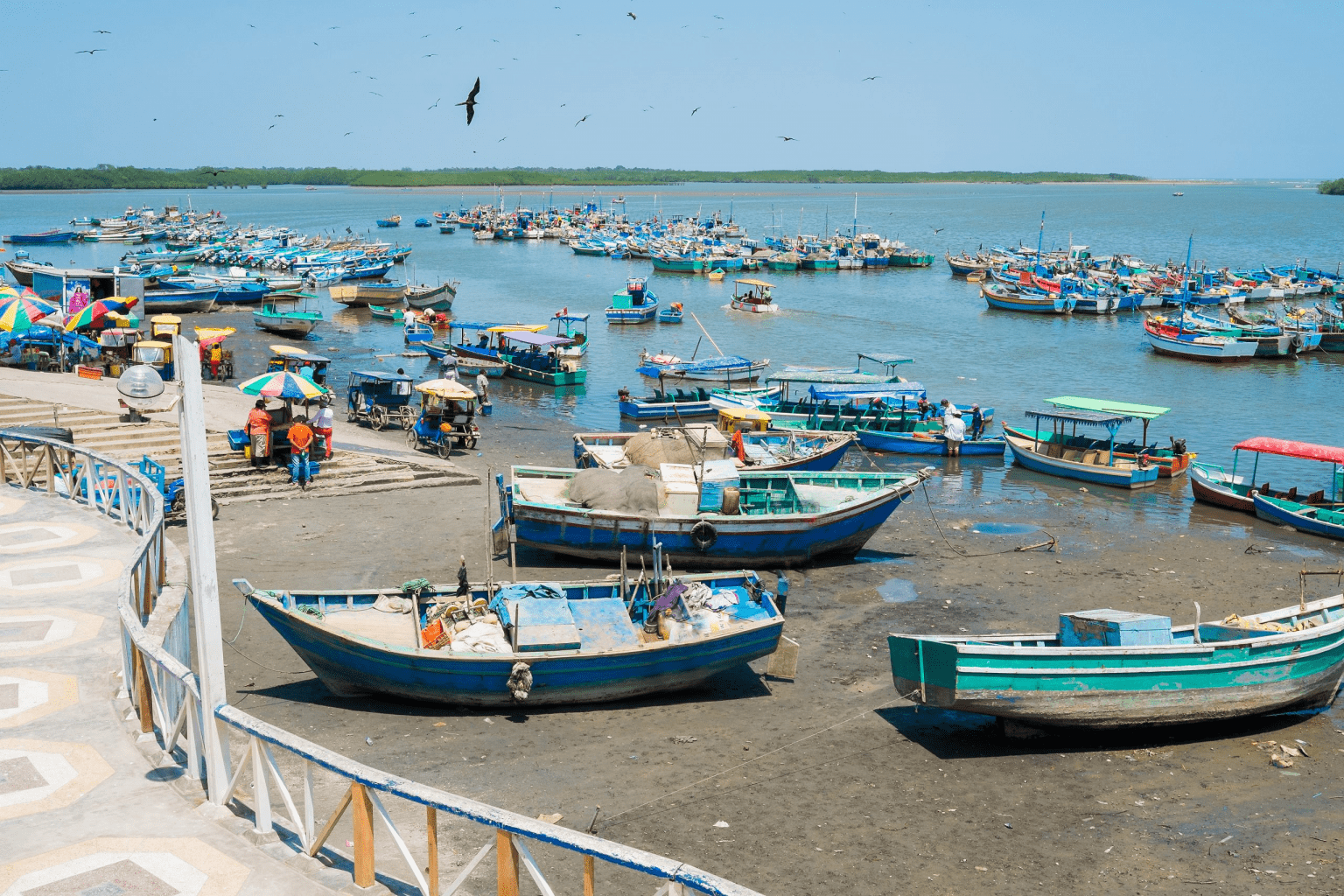 Blog - Conocer el Perú - Ciudad de Tumbes | eMarket Perú