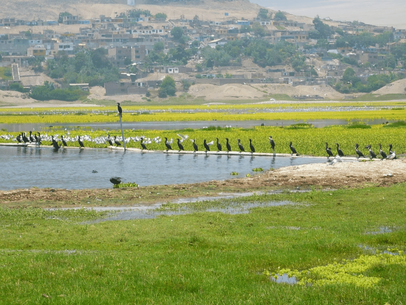 Blog - Conocer el Perú - Ciudad de Chancay (Lima) | eMarket Perú