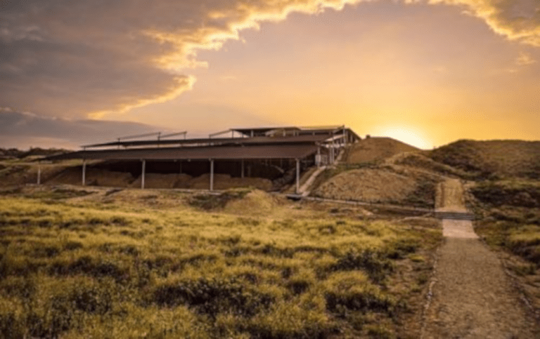 Blog - Museo de Sitio de Cabeza de Vaca “Gran Chilimasa” | eMarket Perú