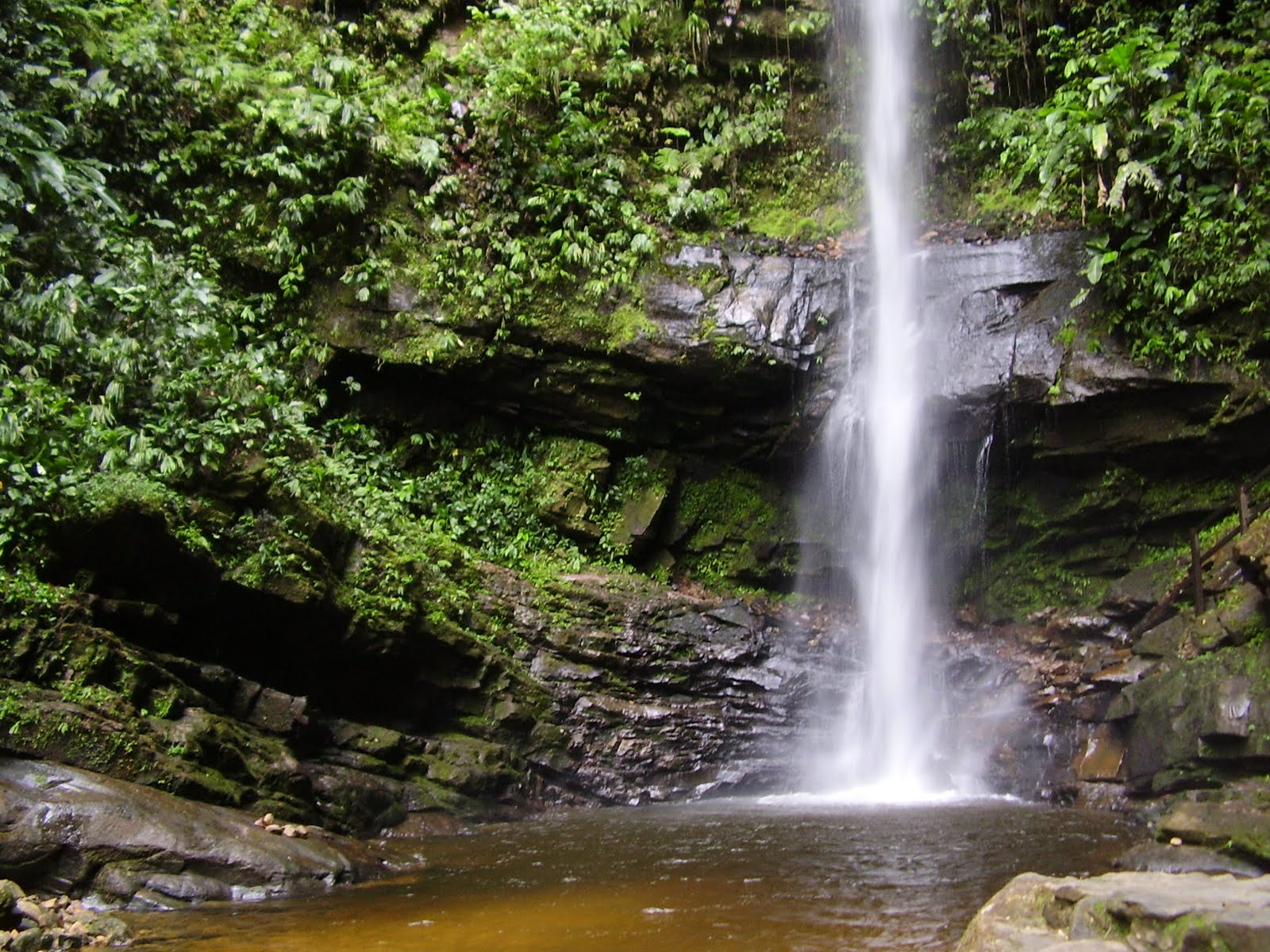 Conocer el Perú – Departamento de San Martín - Blog - eMarket Perú