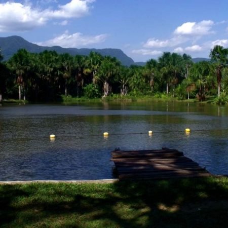 Conocer el Perú – Departamento de San Martín - Blog - eMarket Perú