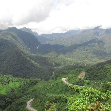 Conocer el Perú – Departamento de San Martín - Blog - eMarket Perú